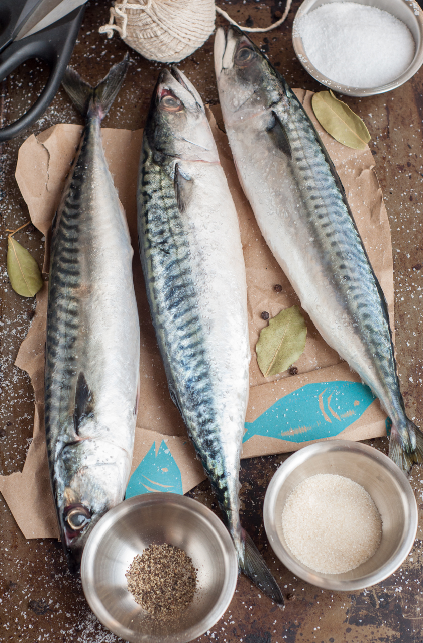 Cured Mackerel - GastroSenses