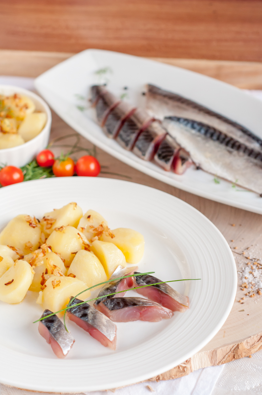 Cured Mackerel - GastroSenses