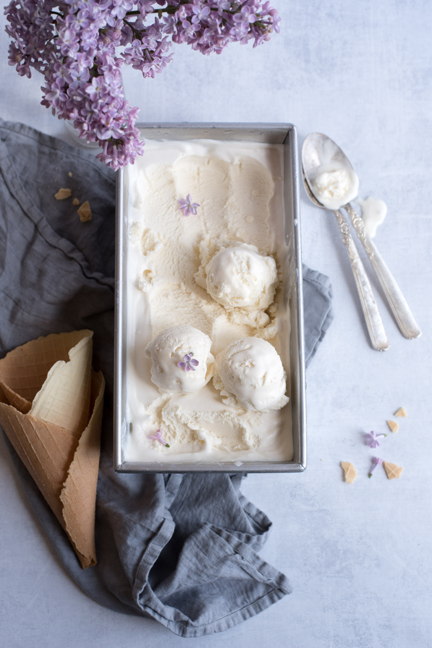Homemade Plombir Ice Cream - GastroSenses